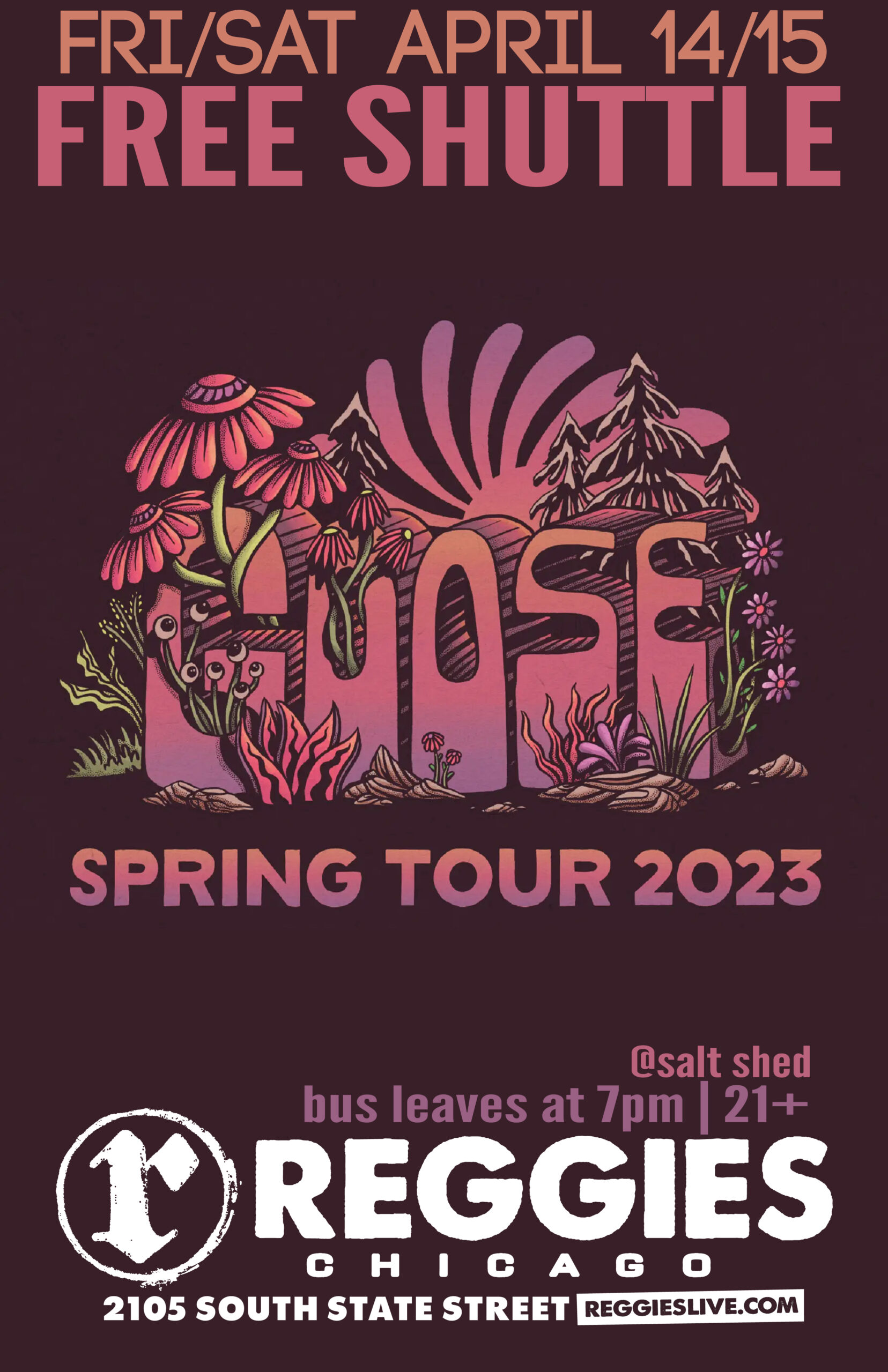 Shuttle to Goose - Reggies Chicago