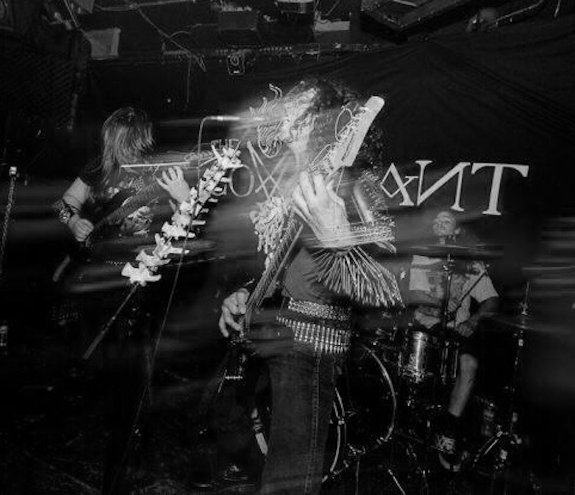 ASCENDED DEAD - Reggies Chicago