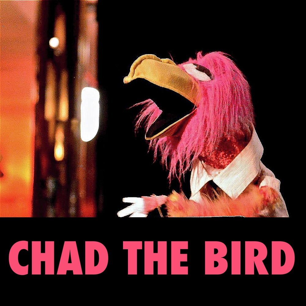 CHAD-THE-BIRD.jpg